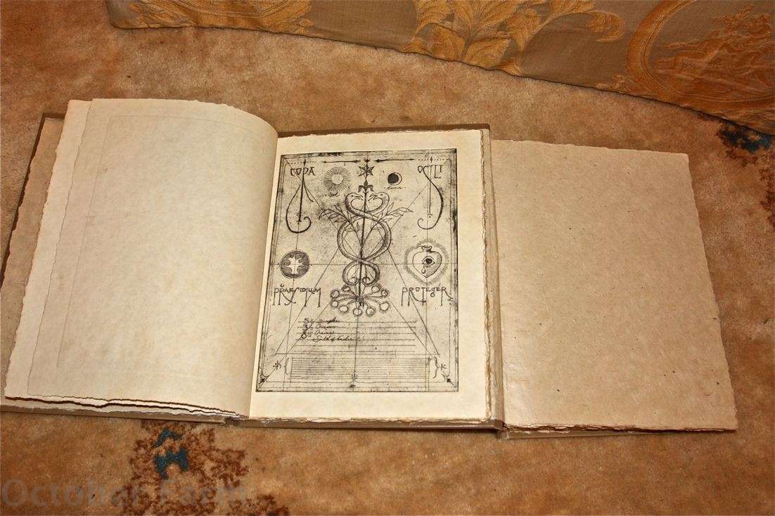 The Original Practical Magic Spellbook