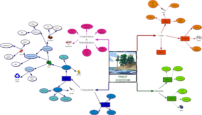 LIMITLESS: Concept Mapping