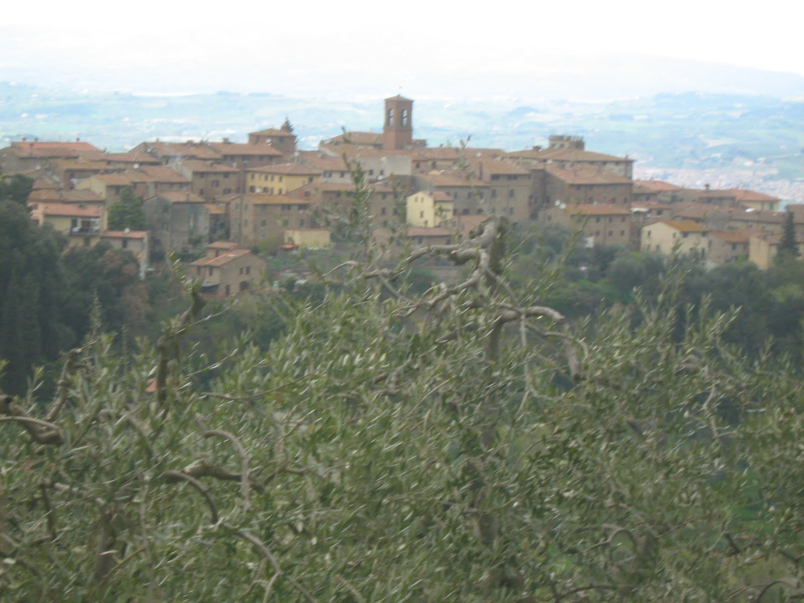 I sentieri di Maresco: I BOLLORI: Gambassi KM 8 TEMPO2 ORE MEZZO