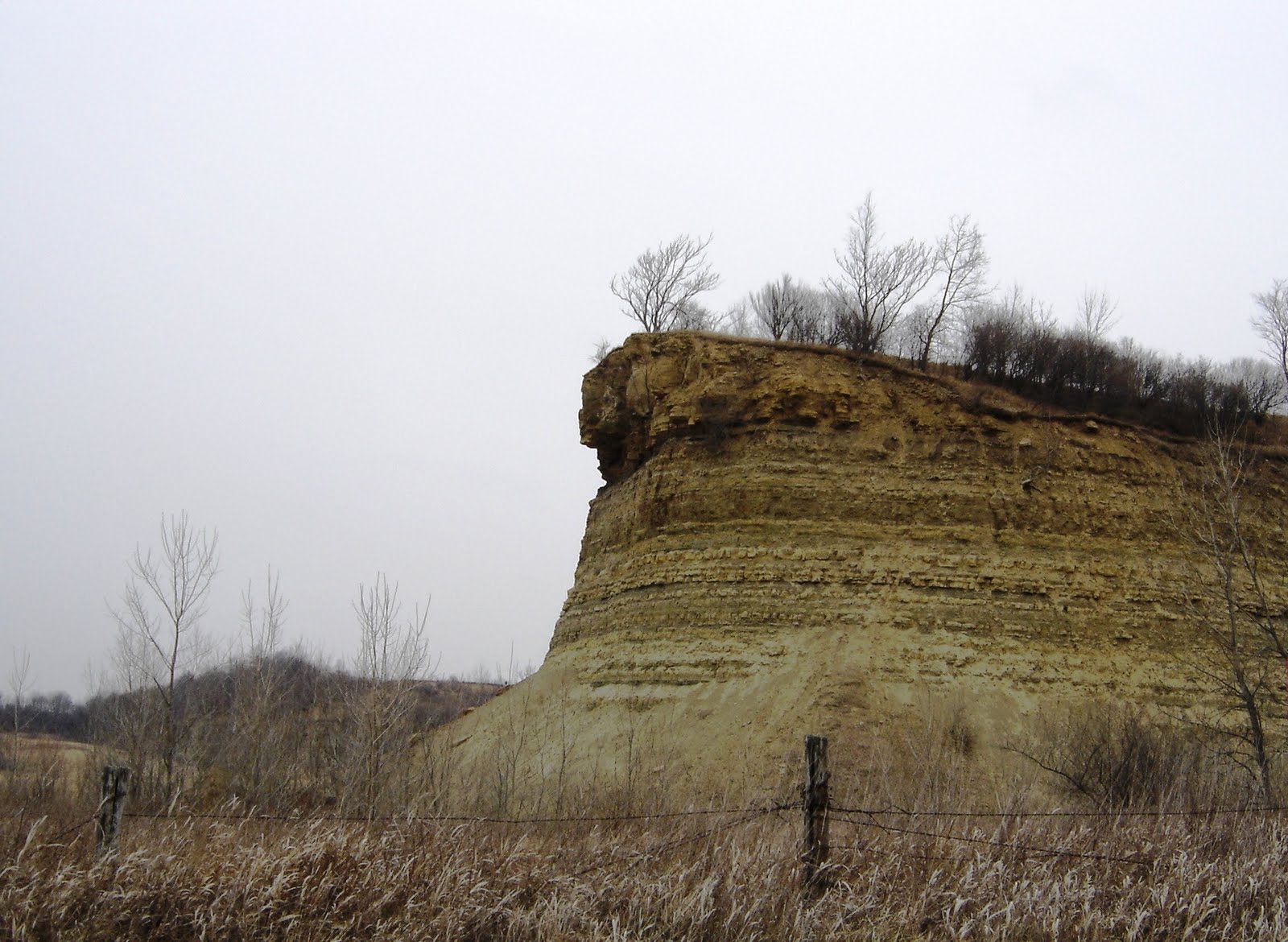 Weedpicker's Journal:: Of Ravens and Unraveling