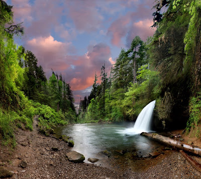 Pretty Pictures: 7/4/10 - 7/11/10