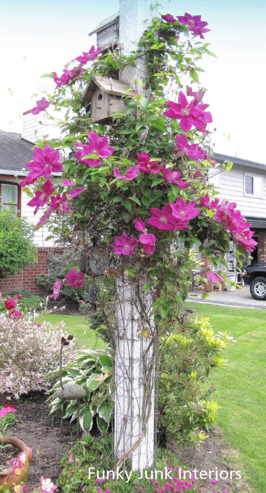 Visit these funky birdhouses! On posts, ladders and more!Funky Junk ...