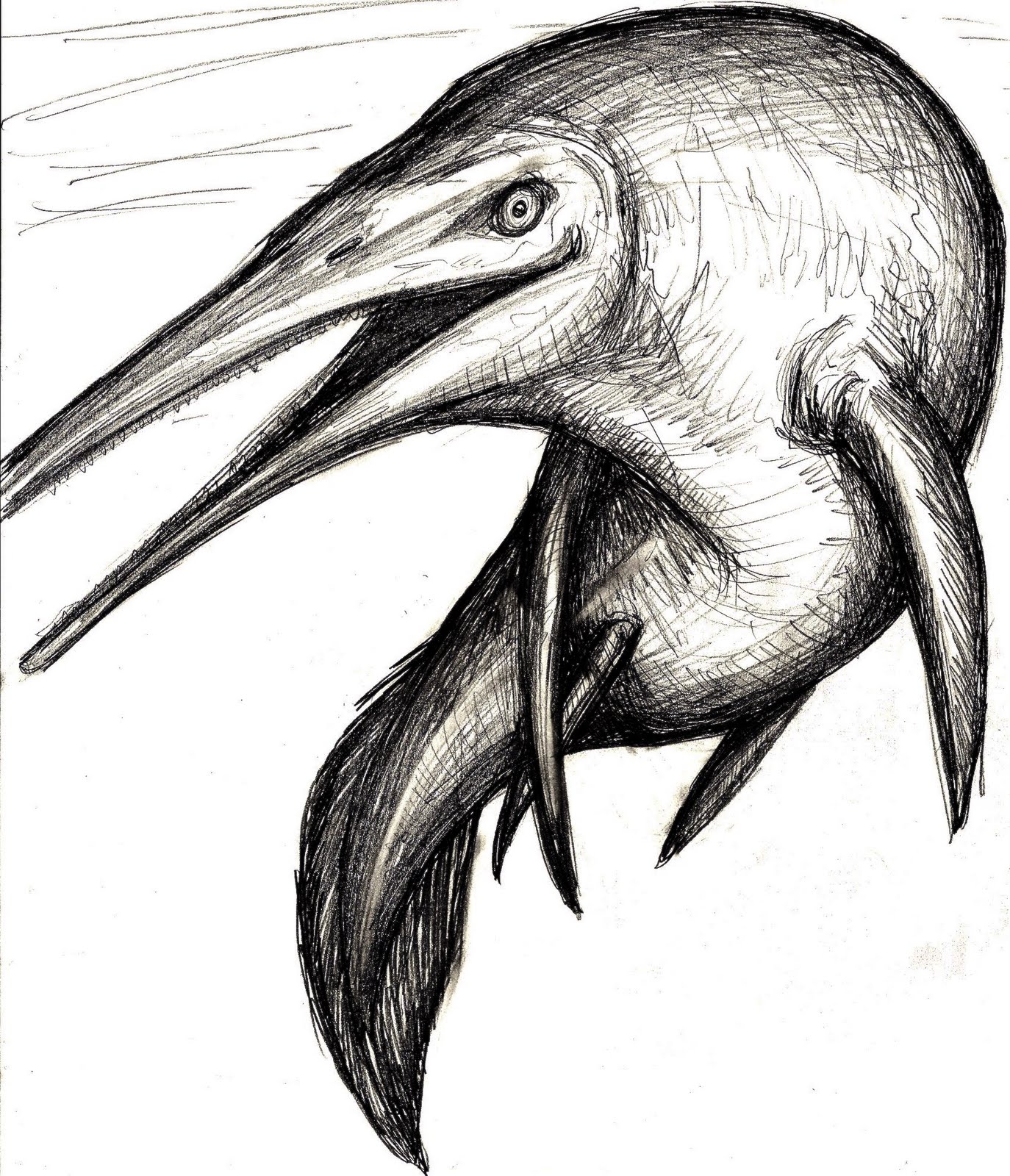 Bond's Blog: Liveblogging: Ichthyosaur Edition! (Part 1)