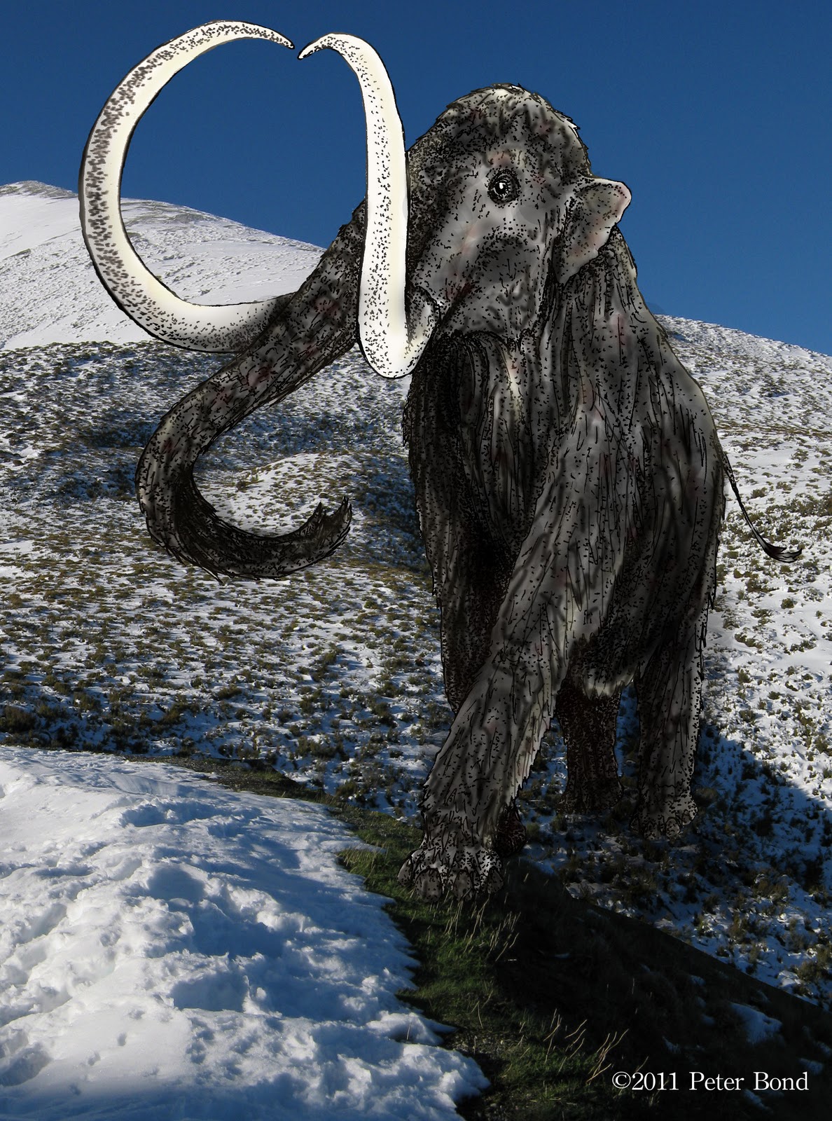 Bond's Blog: Woolly Mammoth - Final Image