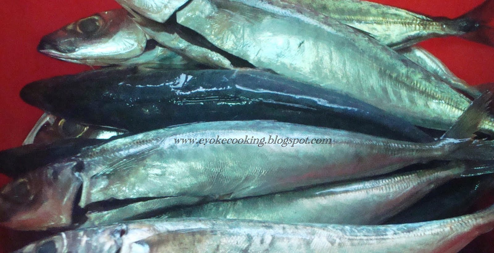 Simply Delicious Easy Cooking: Simmered Fish