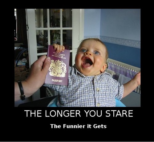 Just for fun pic: The Longer You Stare - The Funnier It Gets