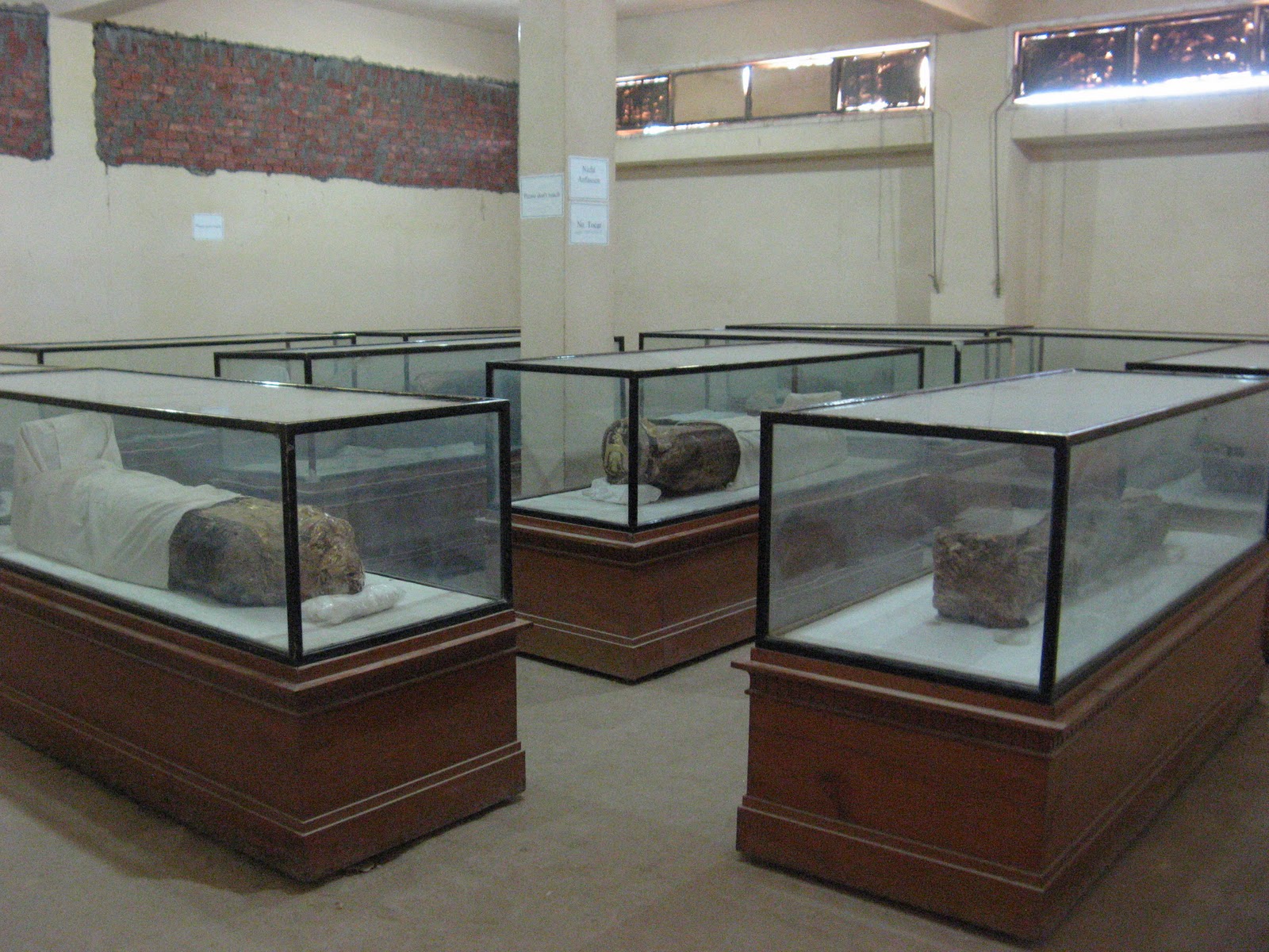 Carol, Jeff, and Cameron in Cairo: The Golden Mummies