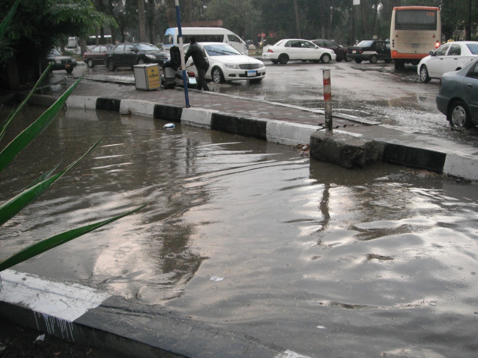 Carol, Jeff, and Cameron in Cairo: Rain, hail and flooding in Cairo