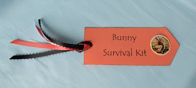 My Creative Stirrings: Cheap Easter Gift- Bunny Survival Kits