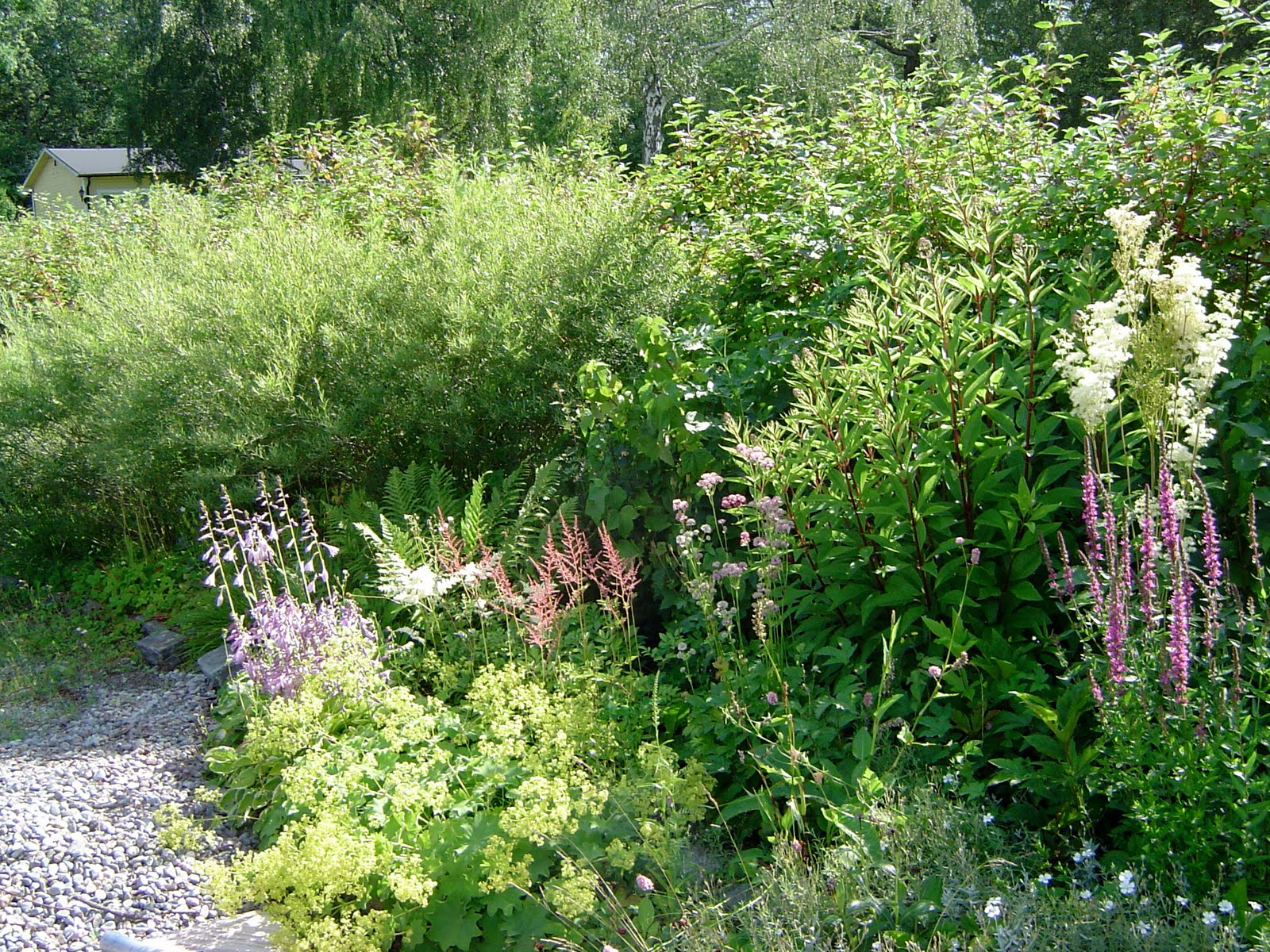 Mycket annat & lite betong: Plantering