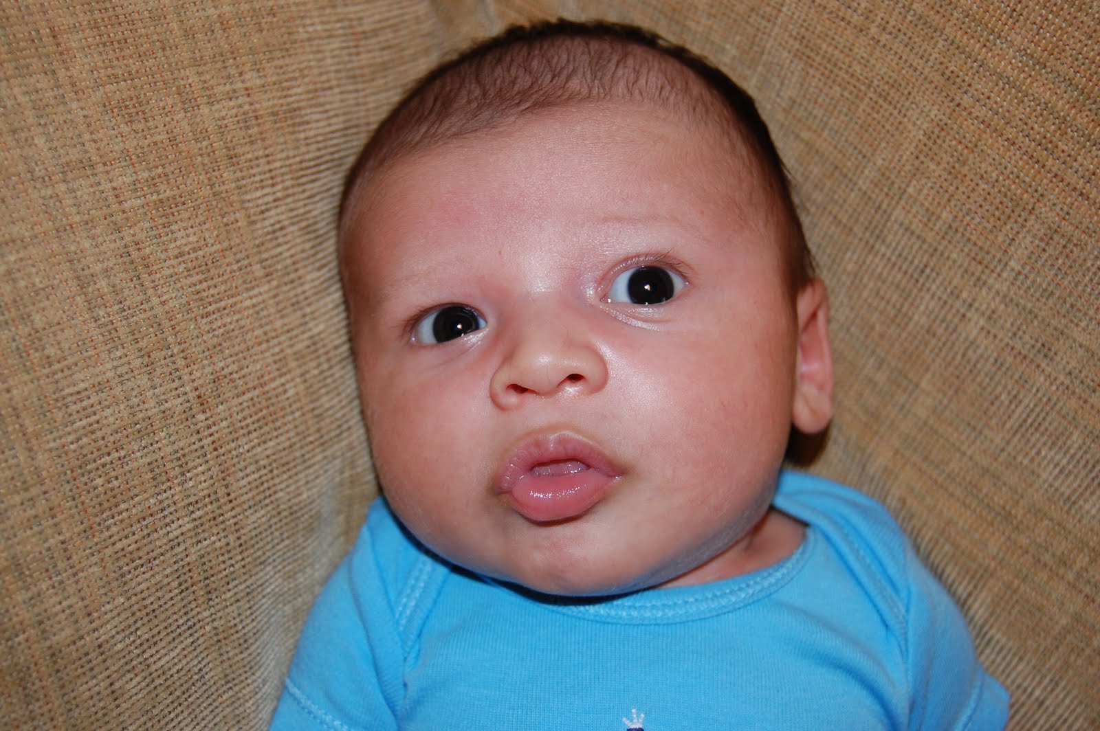 The Adventures of Baby Newman: I'm 4 Weeks Old!!!