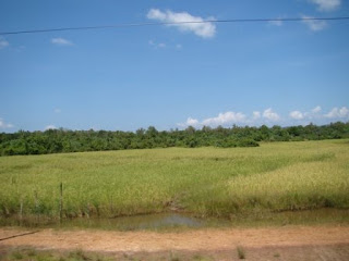 Asean: Asia's Perfect 10: A Trip to Koh Kong