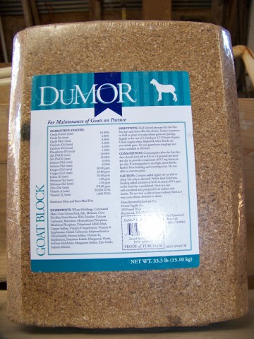Deep South Kikos News: Dumor Goat Blocks