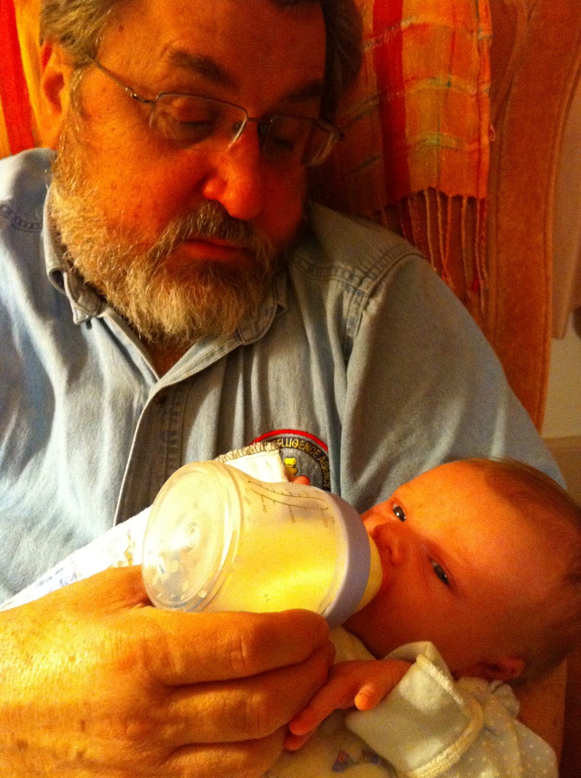 Little Guy Adventures: LUKSIC FAMILY!