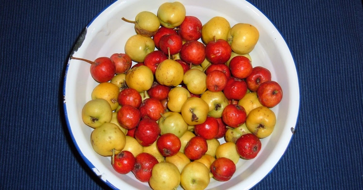 La acequia: Acerolas.