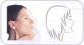 los diferentes visagismos