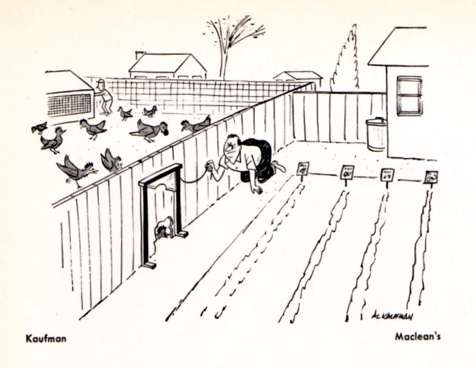 Mike Lynch Cartoons: YOU'VE GOT ME IN THE SUBURBS Part 1