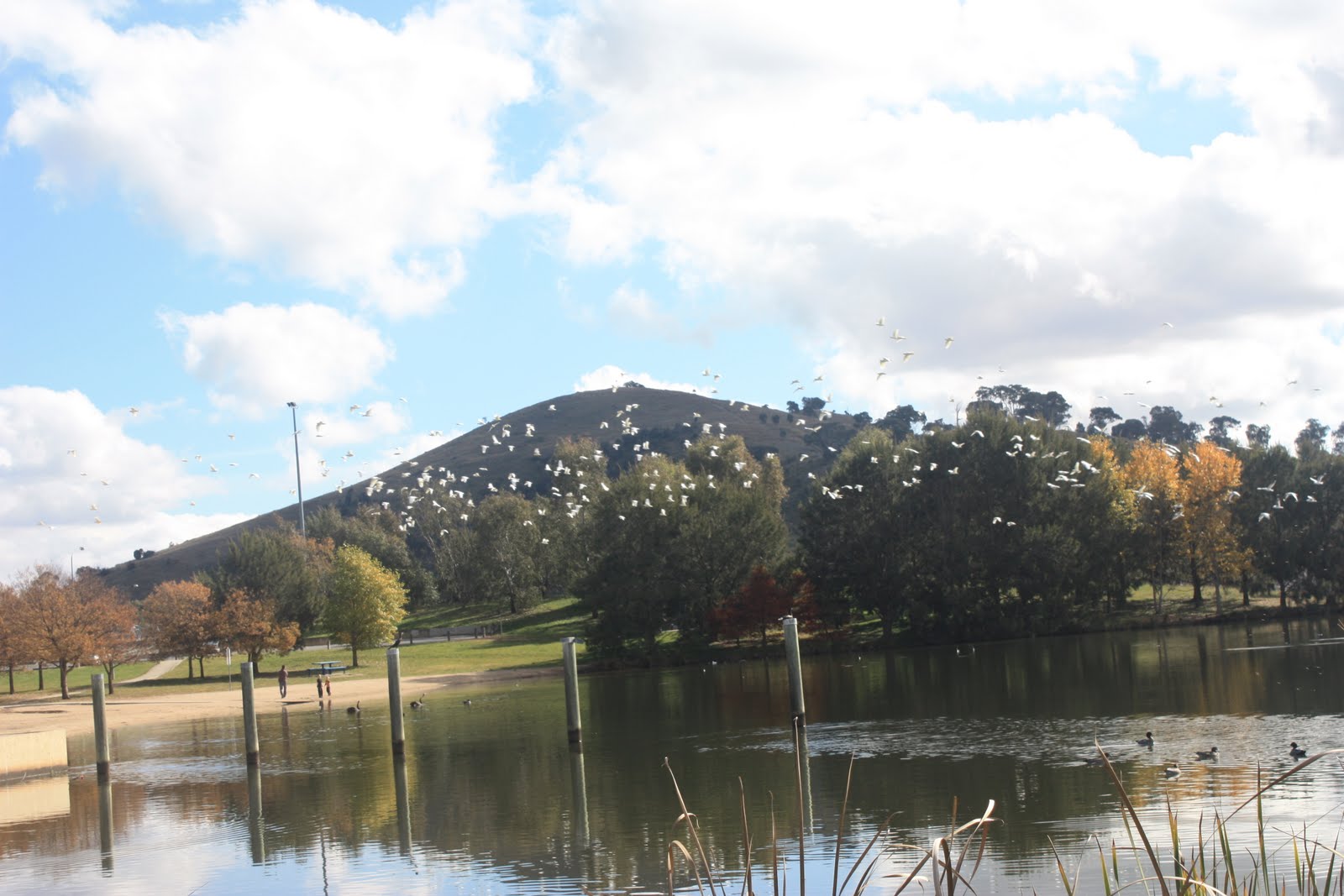 Lake Tuggeranong Canberra Australia