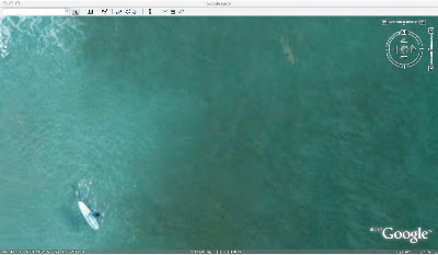Irmandade Véio Rosa: Tubarão no Google Earth