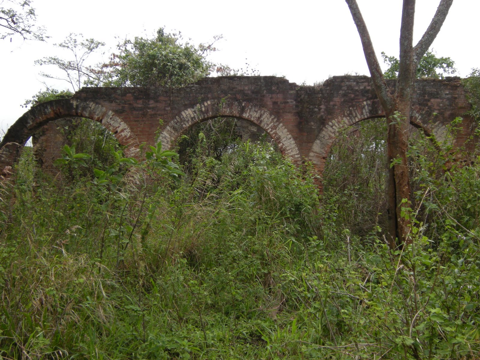 First Wonder Goes Deepest: Around Nagishot