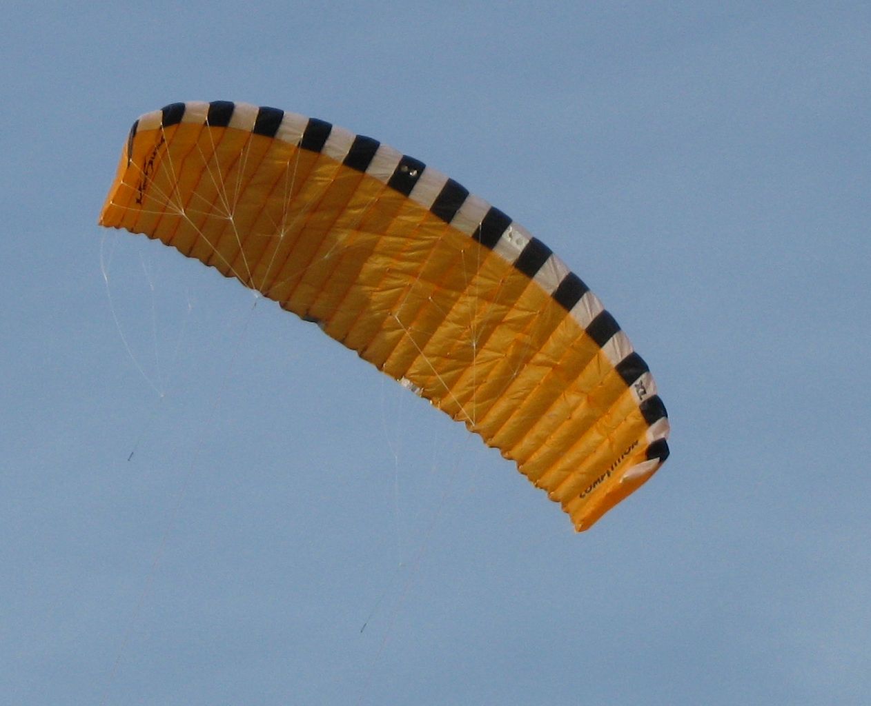 the kite guy: 4-line kites