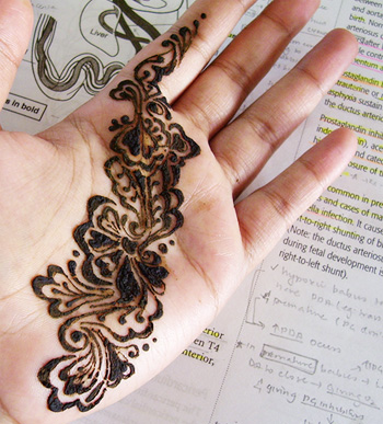 Hina Mehndi Designs and Beauty: Mendi Designs for Hands