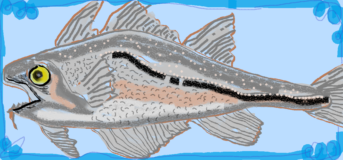 SUSAN SIMON SAYS: Salt Cod and Christmas