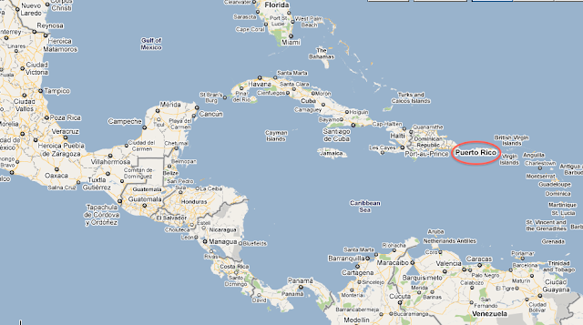 Puerto Rico Ponderings: The Location: Puerto Rico Rainforest