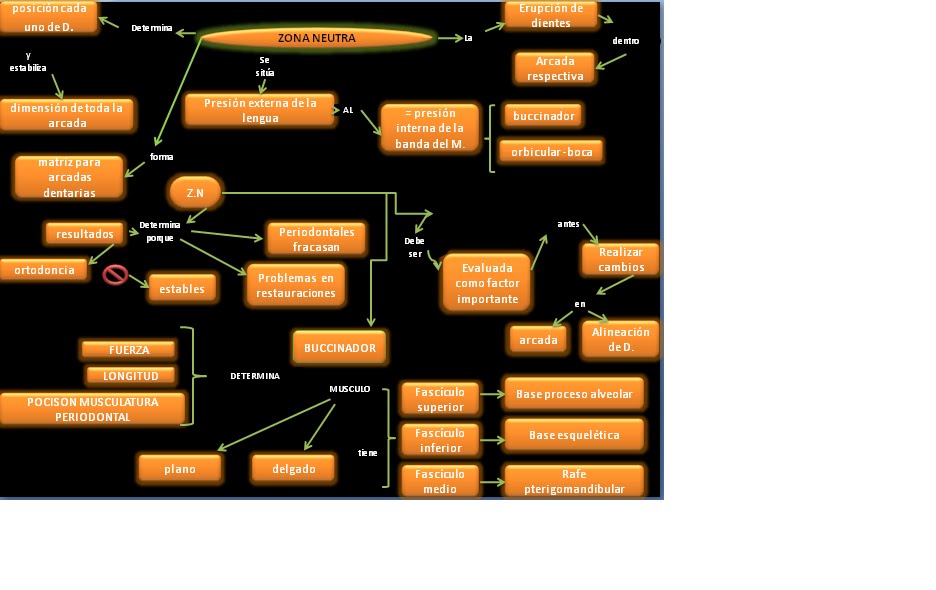 anaya-iveth.: dimencion vertical y zona neutra