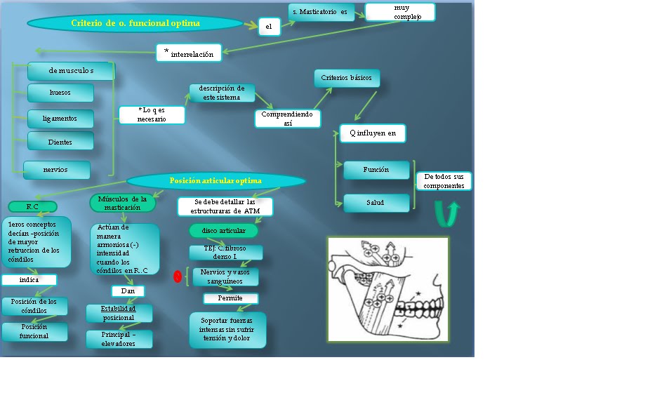 anaya-iveth.: CRITERIOS DE OCLUSION FUNCIONAL OPTIMA