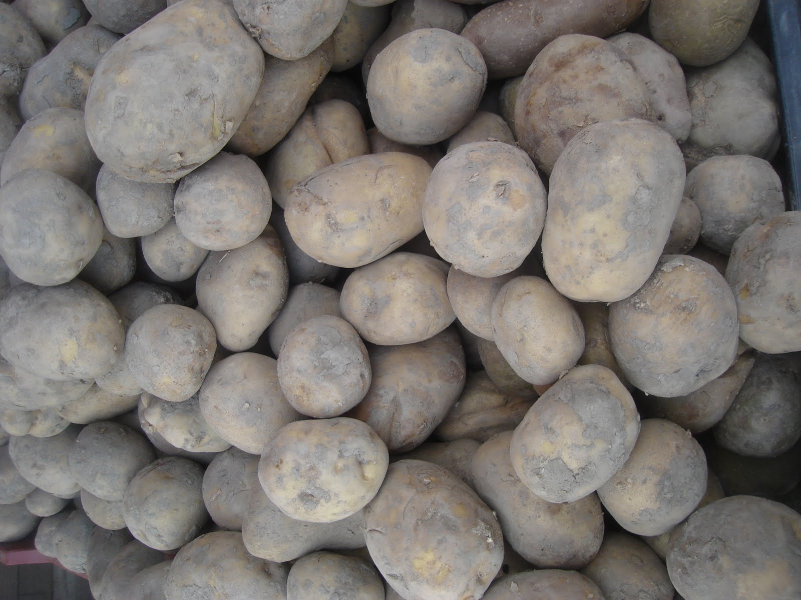 Pe masa din bucatarie: Cartoful