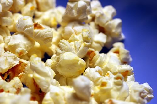 Souljournaler: Popcorn & Fossils