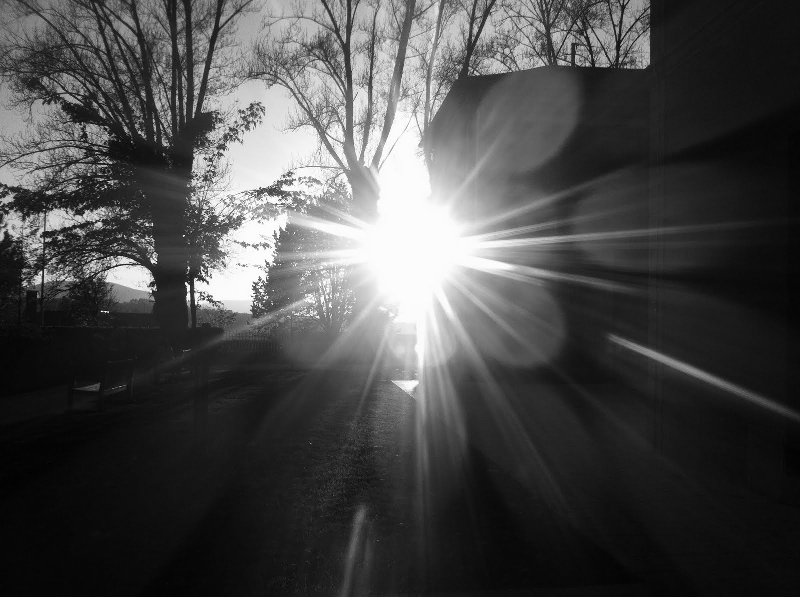 Inmoonizado: esplendor