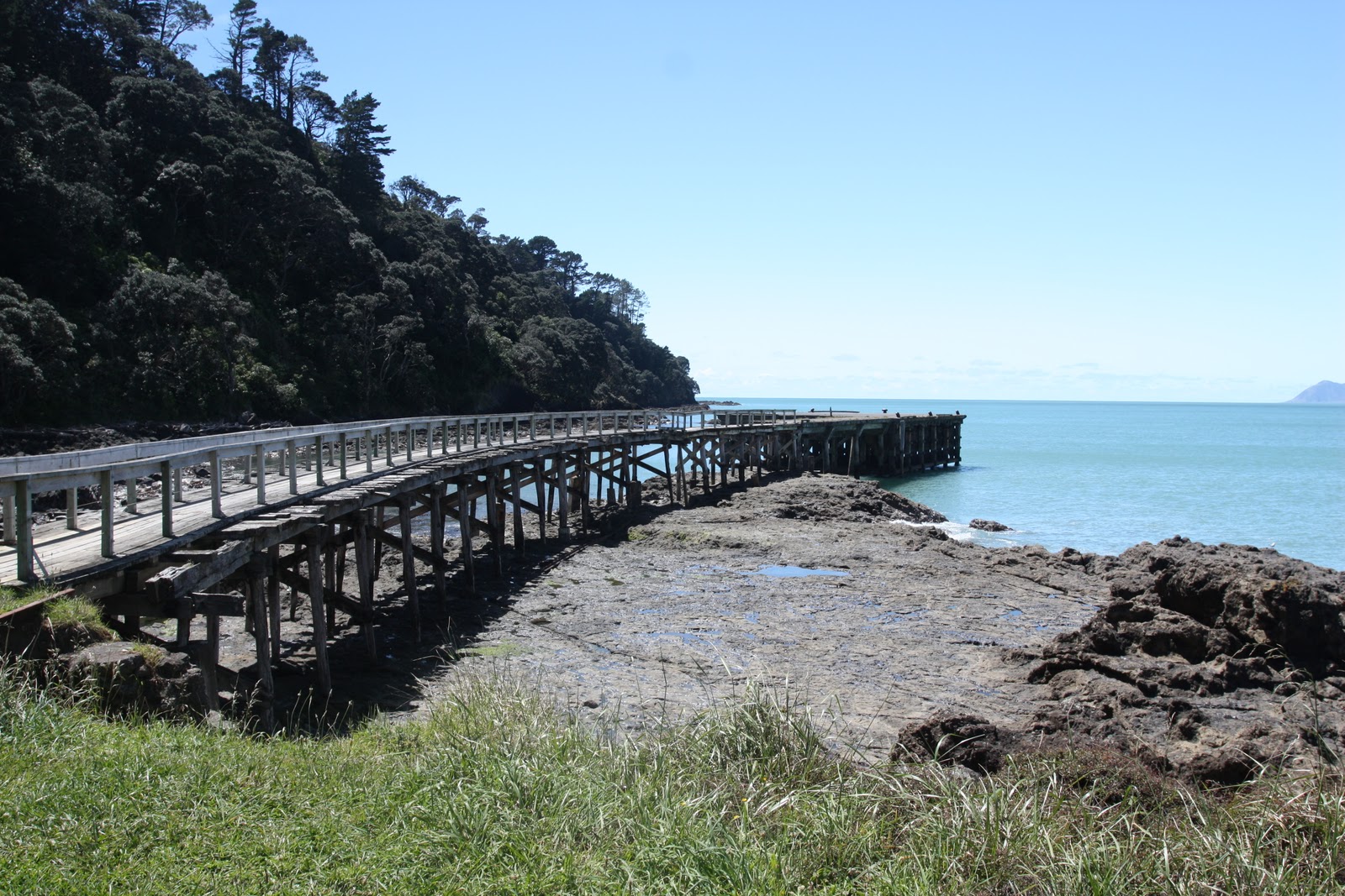 THE KIWI KRONICLES: Day 35 Te Kaha, Hicks Bay, East Cape Lighthouse and ...