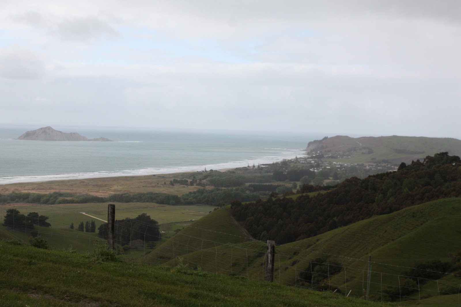 THE KIWI KRONICLES: Day 46,47& 48 Waimarama Beach, Wellington, and Te Papa