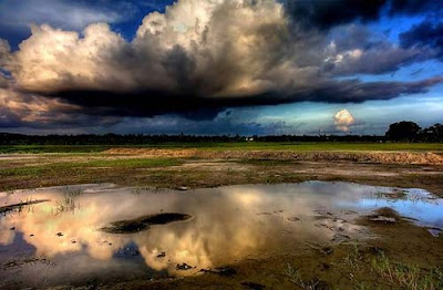 Somethin Odd: Cool Examples of Rain Photography