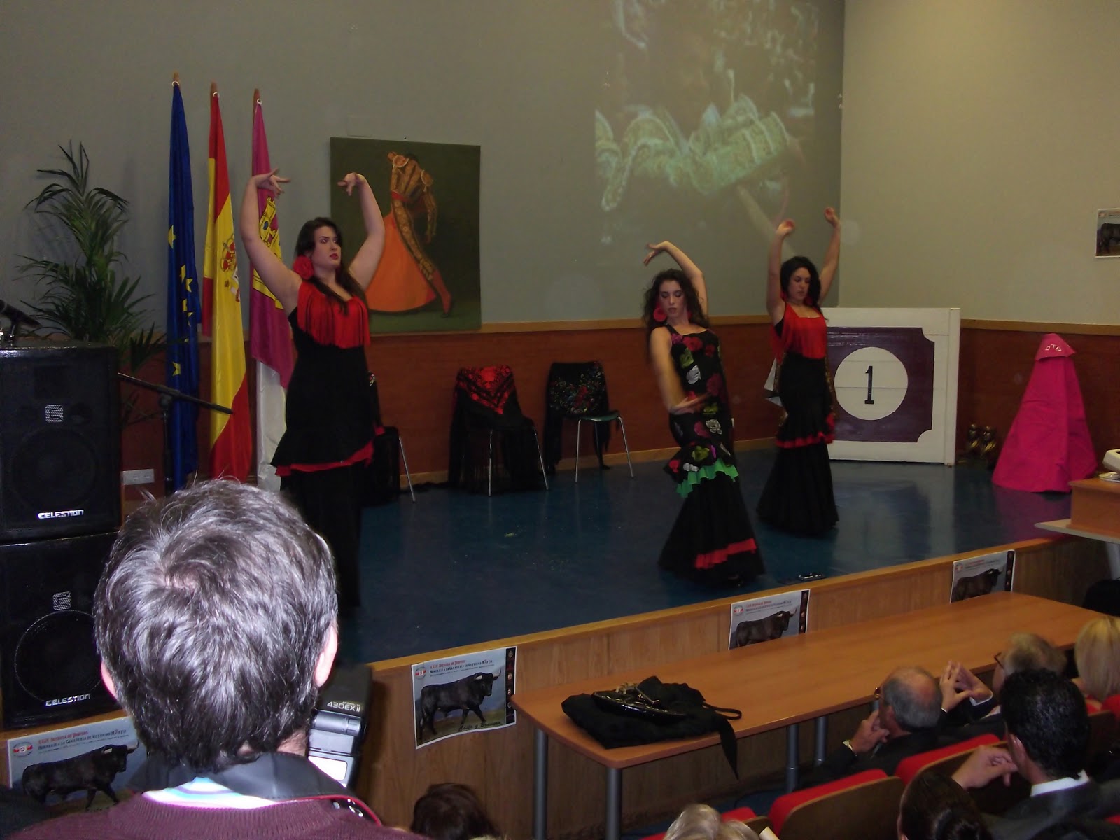 Academia de Baile Flamenco **LauRa**