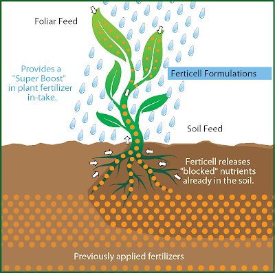 Agroplasma: How Ferticell Improves Fertilizer Efficiency