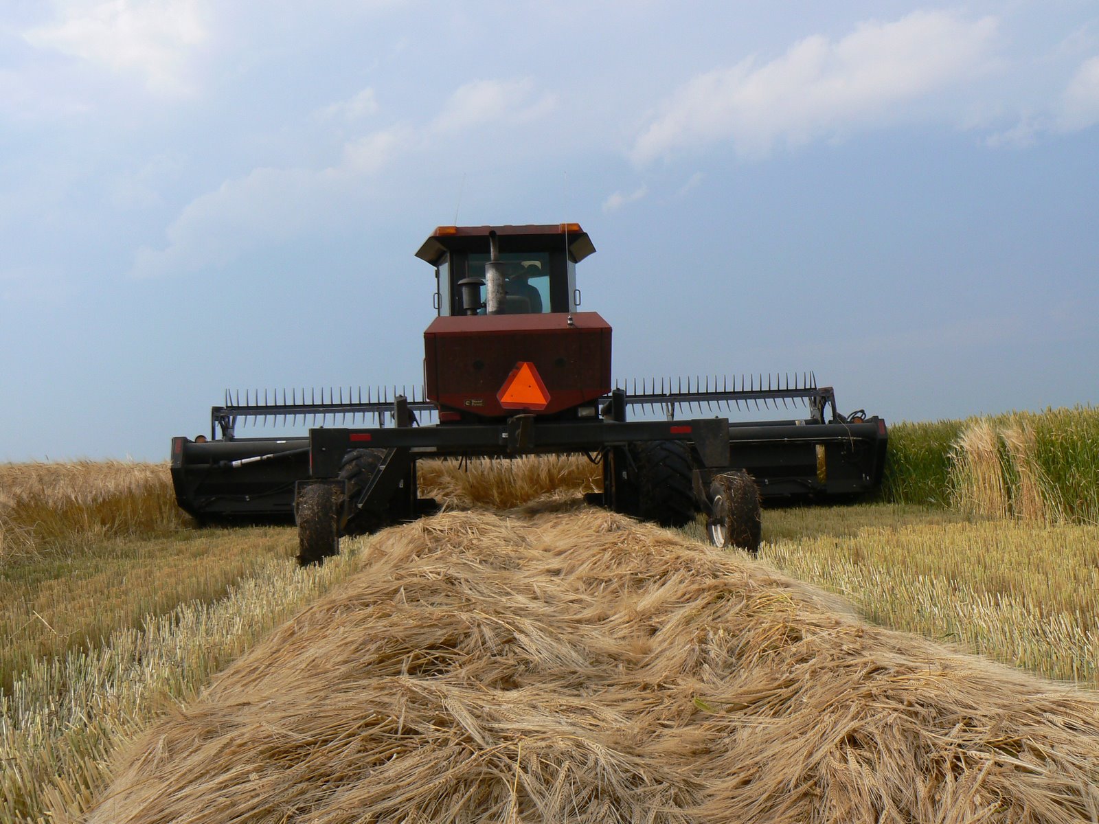 Life In The Country: Swathing Time!