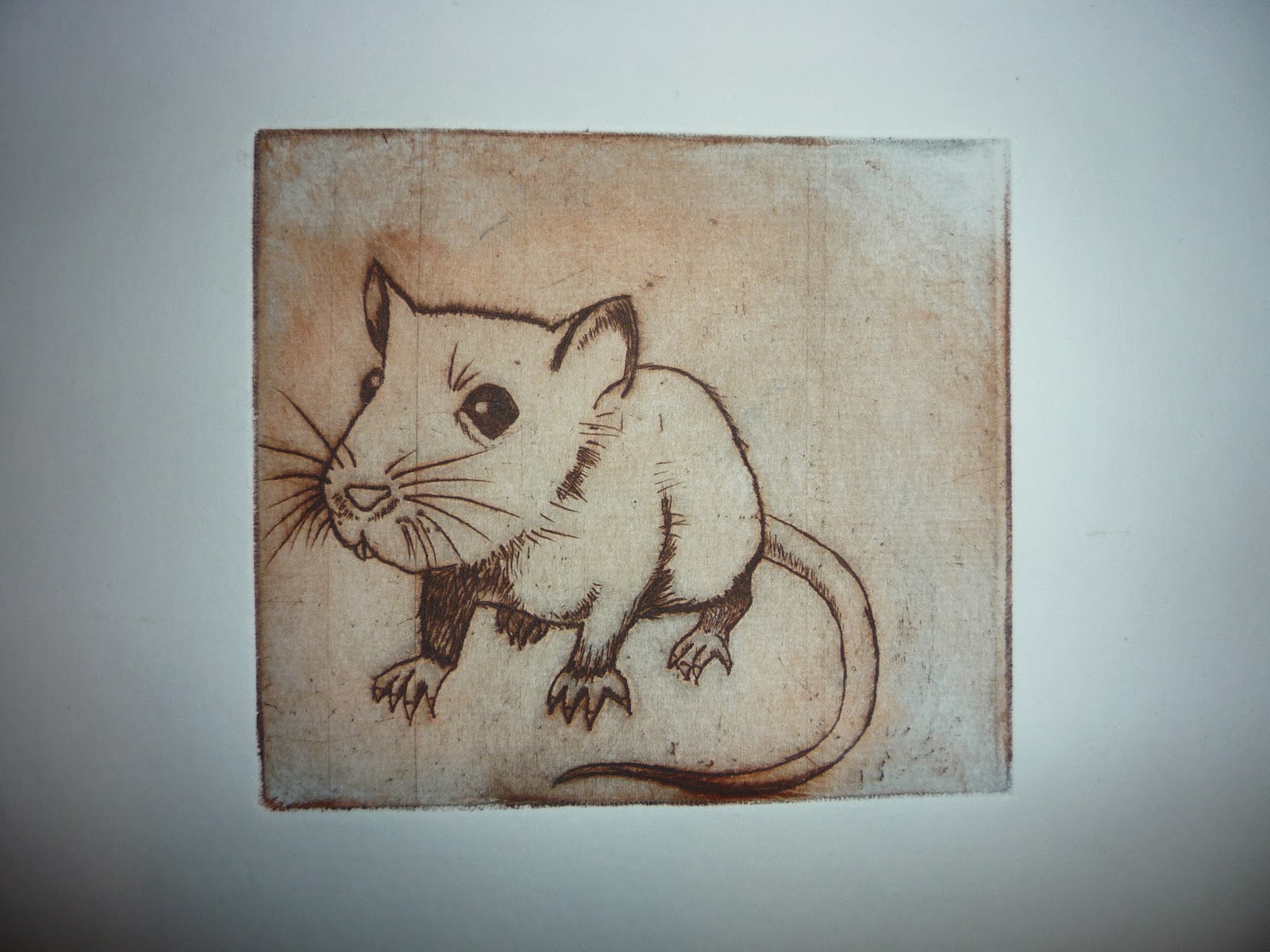 fun with animals: drypoint with aluminium