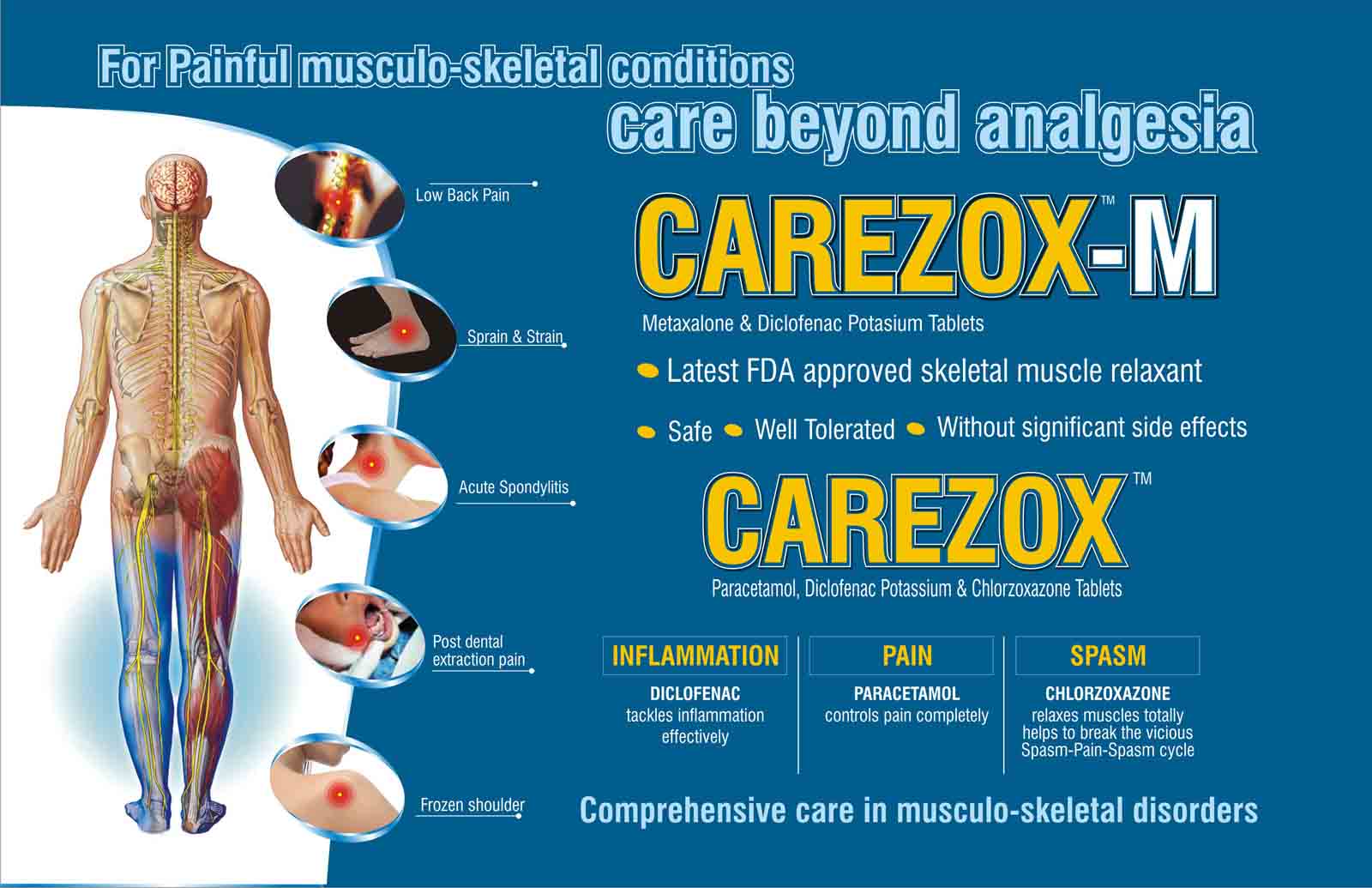 GLORY ASTER DESIGNS: Online Pharmaceutical Visual aid Designs