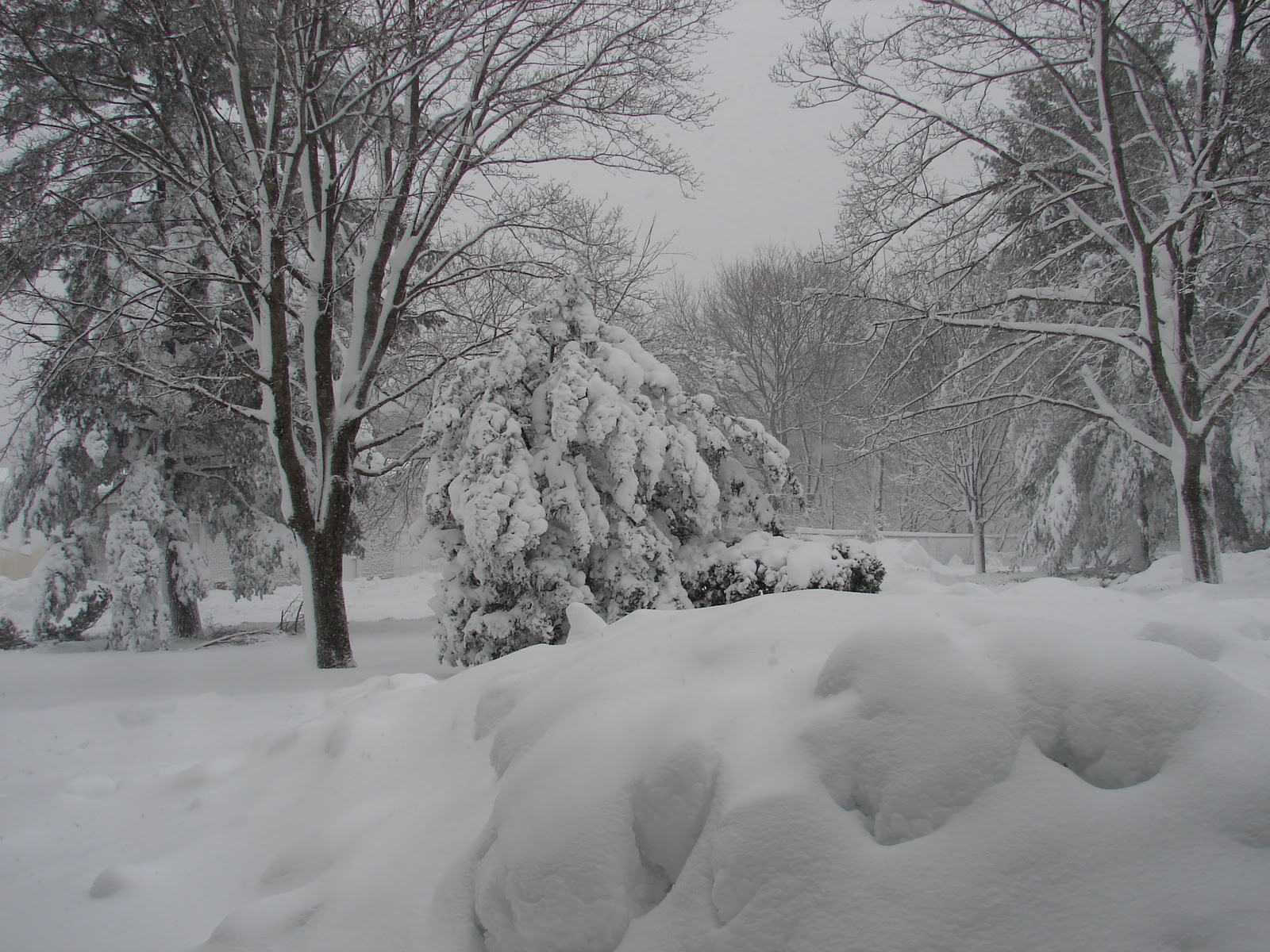 P R Woman for Christ: Blizzards and Memories