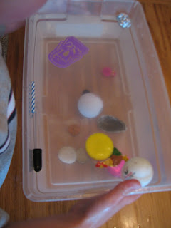 Science Matters: Density: Sink or Float?