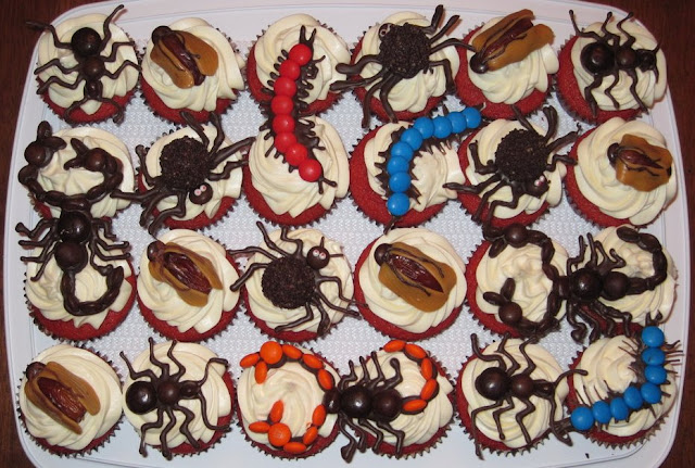 Meine Kleine Kuche: Bug Cupcakes!