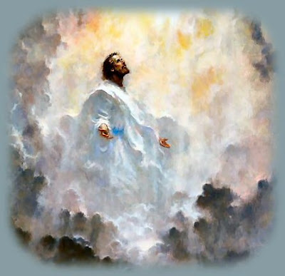 Scripture for Today: 1 Peter 1 ~ You shall be holy, for I am holy