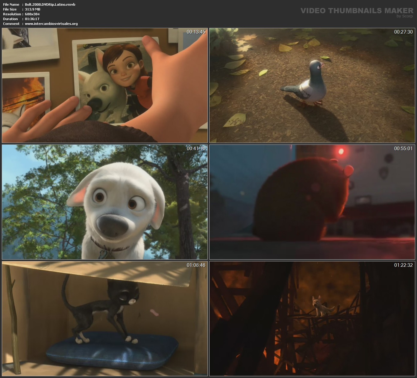 Bolt (2008)|Dvdrip|Latino|Animación|Rmvb|Fls - Infantiles - ChileComparte