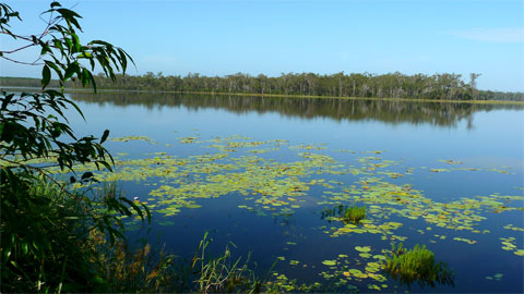 Entdeckt Australien gemeinsam mit uns.: Chilling out at Lake Lenthall