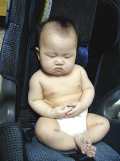 The Photos, Wallpapers & Images of Cute Fatty Babies