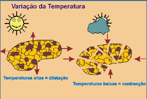 Da Biologia á Geologia: fevereiro 2010