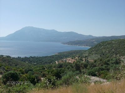 ΑΙΩΝΟΒΙΑ ΕΛΑΙΟΔΕΝΔΡΑ & ΘΑΛΑΣΣΙΝΑ ΤΟΠΙΑ ΤΗΣ ΣΑΜΟΥ: Ιουλίου 2009